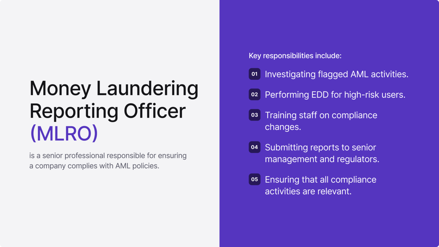 MLRO Work Responsibilities in 2025 - iDenfy