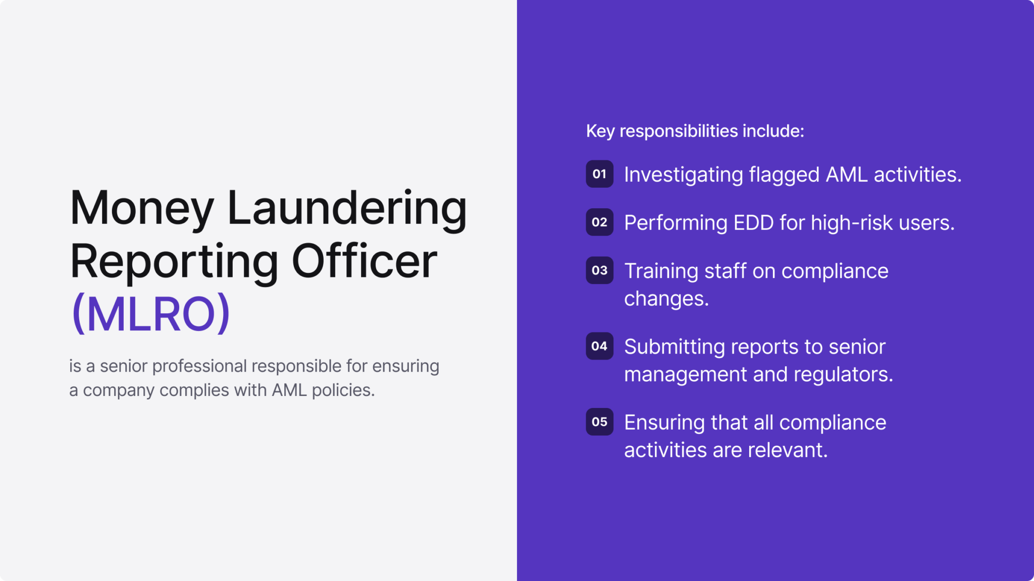 MLRO Work Responsibilities in 2025 - iDenfy