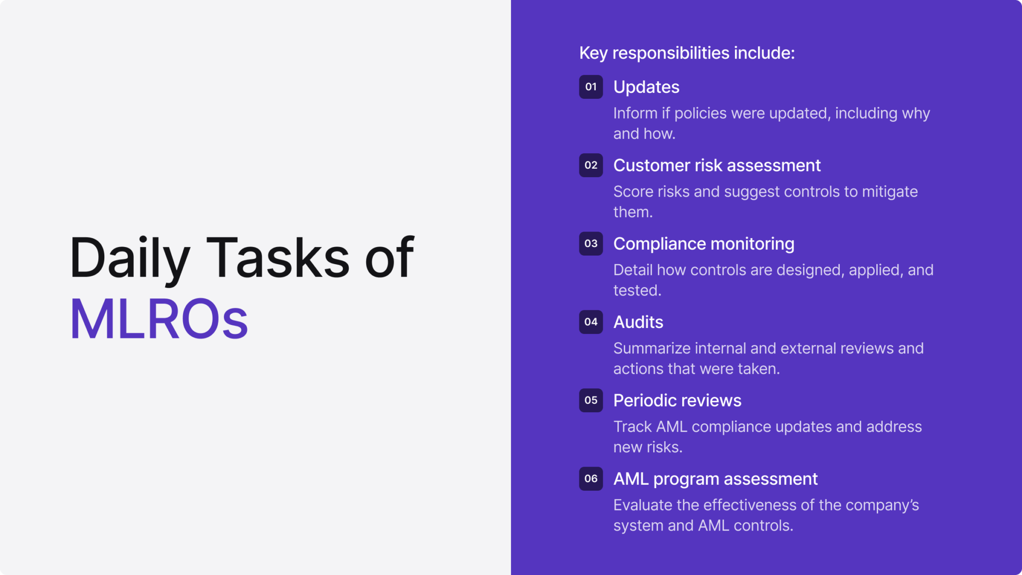 MLRO Work Responsibilities in 2025 - iDenfy